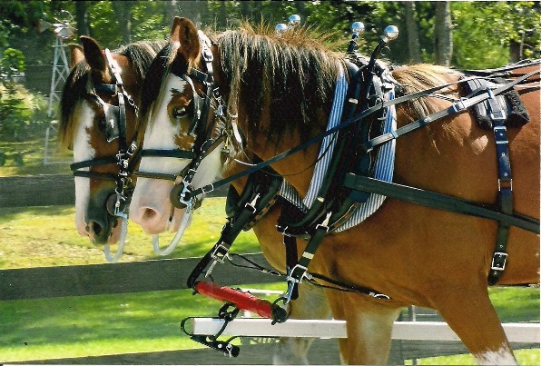 Stitch 'n Hitch - Farm Harness